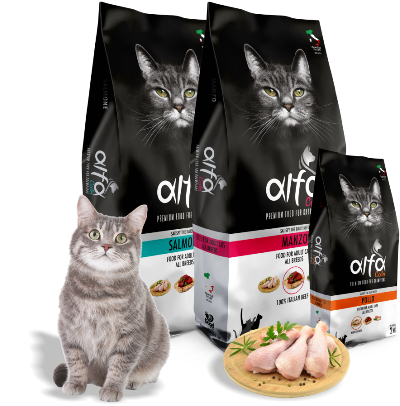 Linea Alfa Gatto – Dagel Mangimi
