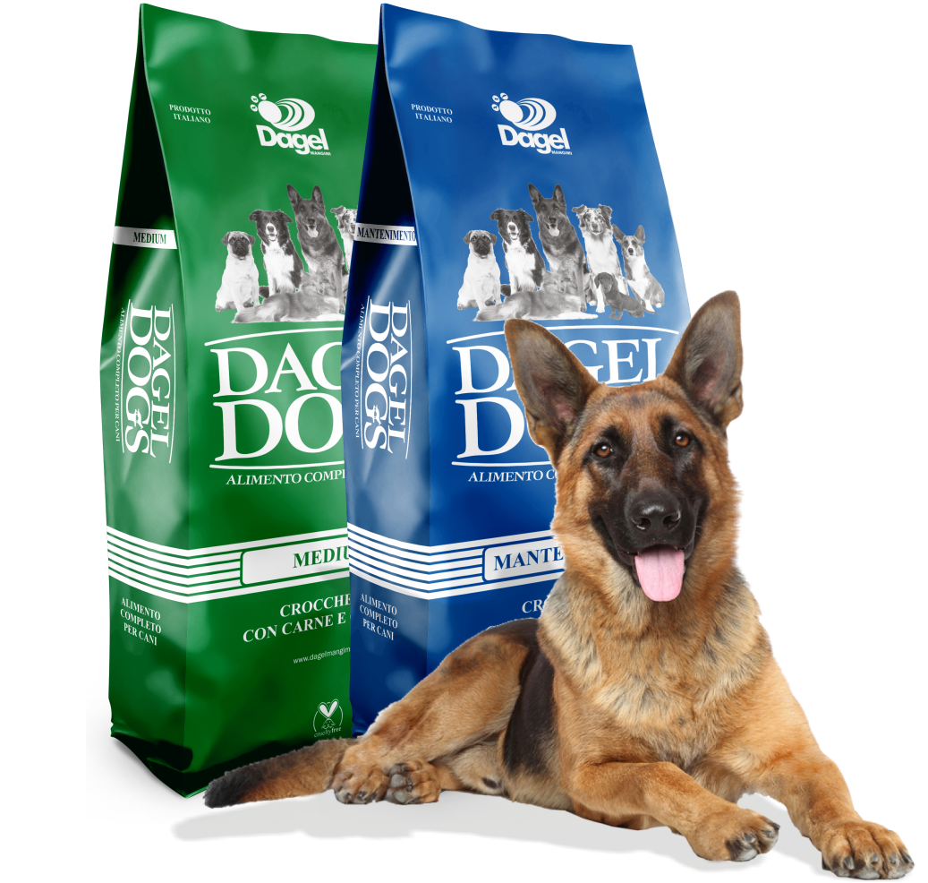 Home - Dagel Mangimi